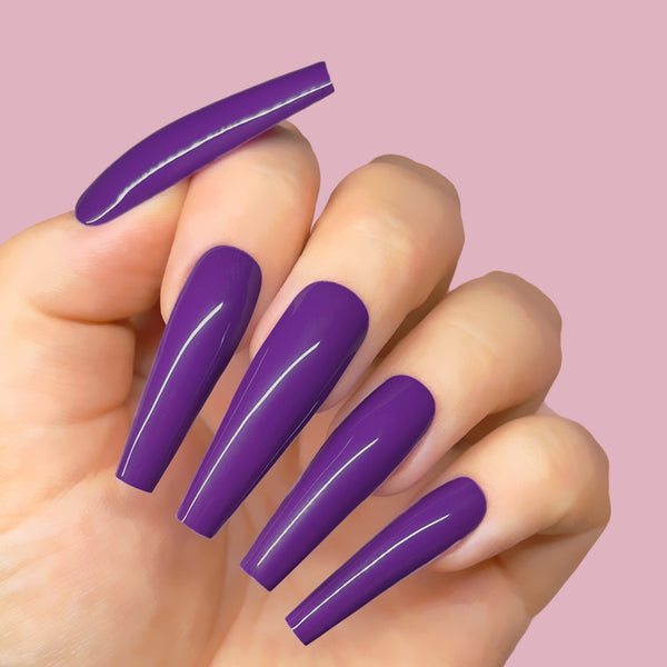 Plumsy | Gel Pod Pro Paints | Kiara Sky